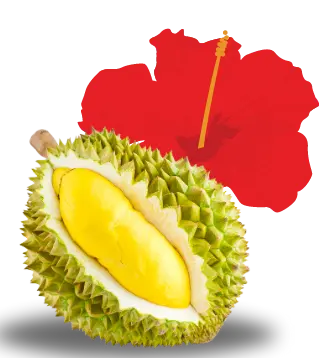 Durianasia - Durian Kajang